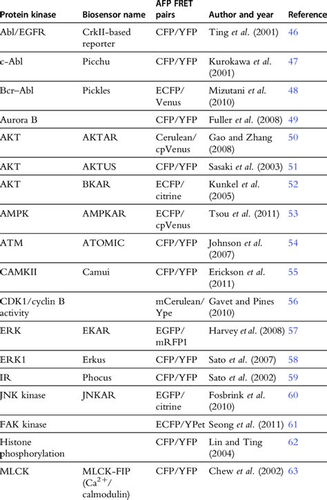 2 Genetically Encoded Single Chain Fret Biosensors Of Protein Kinases