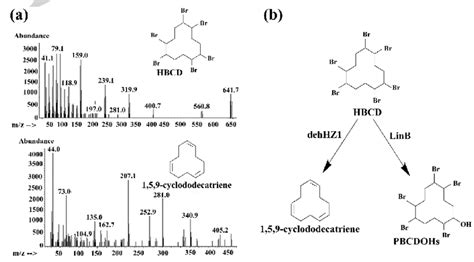 A Detection Of The Mass Spectrum Of Hbcd And Its Metabolite