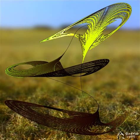 Polynomial Strange Attractors