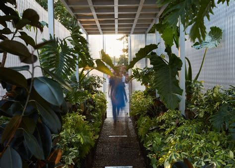 Asif Khan And Mini Bring Calm Forests To London Inner City