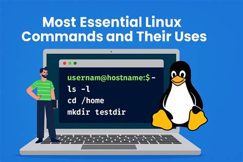Most Essential Linux Commands And Their Usage
