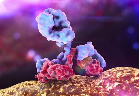 Gastrointestinal Manifestations Of Common Variable Immunodeficiency Mayo Clinic