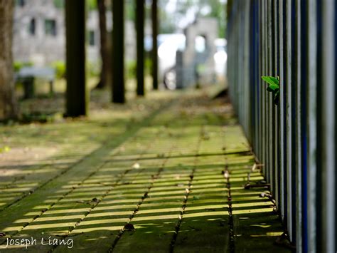 Dscf0809 Flickrlinkr