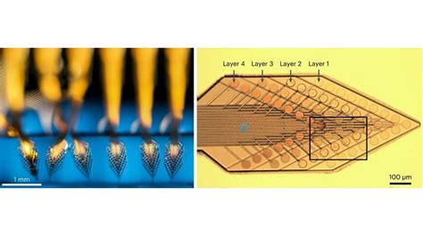 New Implantable Device To Record A Collection Of Individual Neurons