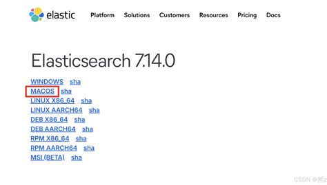 Elasticsearch 7140（适合小白的万字笔记！持续更新）elasticsearch 714下载 Csdn博客