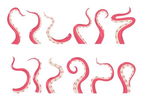 Octopus Tentacle Animation Images Free Download On Freepik