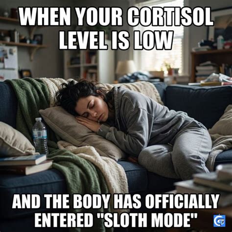Cortisol Level Low Meme S And Images When Stress Takes A Day Off