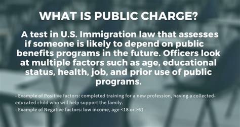 Public Charge Information For Pediatricians American Academy Of