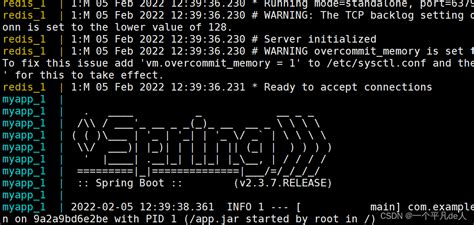 【狂神说】docker【进阶篇】 狂神说java docker进阶 一个平凡de人的博客 csdn博客