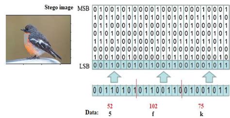 Figure From Enhanced Efficiency And Security In LSB Steganography Burst Embedding And