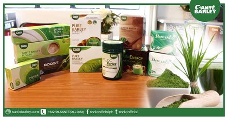 The Good Stuff In Barley Pure Barley Solution