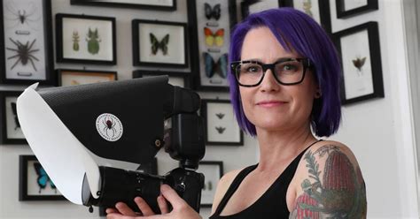 Award Nod For Tiny Bee Photo By Illawarra Photographer Tara Luck Illawarra Mercury