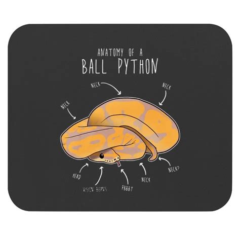 Python Lover Anatomy Of A Banana Ball Python Mouse Pads Sold By