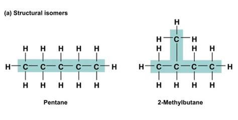 Bio Chapter 4 Quiz Flashcards Quizlet