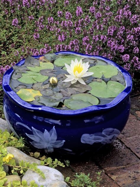 19 Ways To Use Large Garden Containers Large Garden Pots Garden Pond