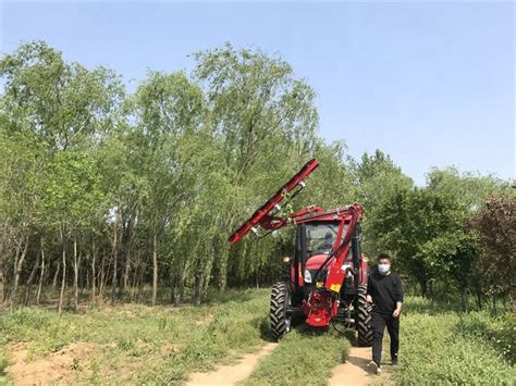 Tractor Front Mounted Hydraulic Tree Limb Trimmer Gxj 2