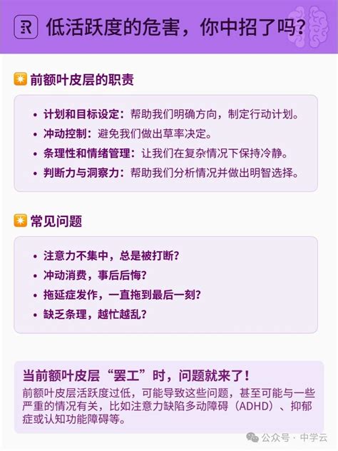 【前额叶皮层】你的 大脑ceo”，提升大脑洞察力的关键 知乎