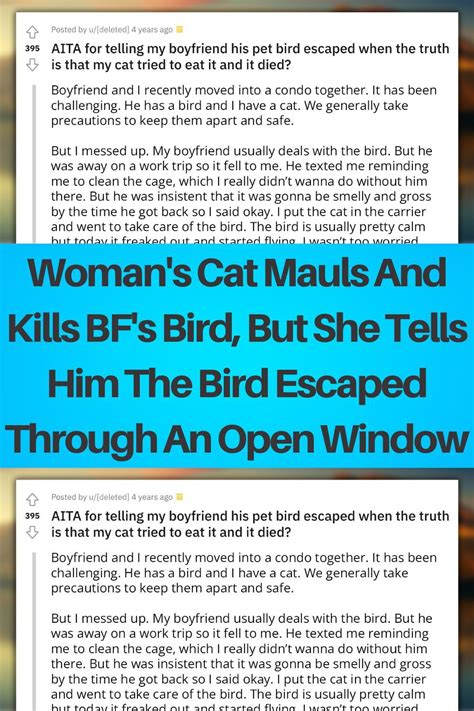 Woman S Cat Mauls And Kills Bf S Bird But She Tells Him The Bird