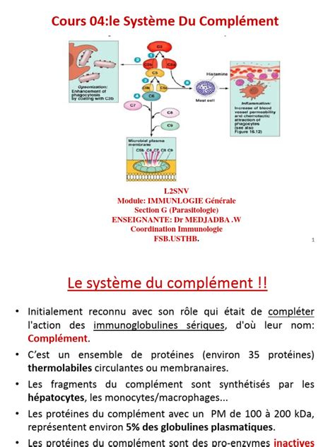 Système Du Complément En Immunologie Pdf Système Du Complément
