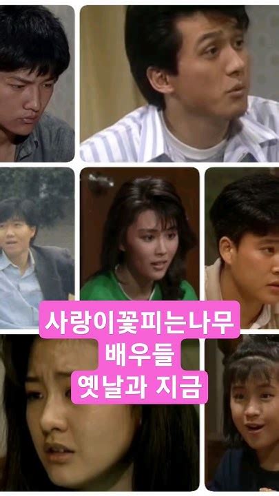 😊 옛날과 지금을 서꺼랑 👉 사랑이꽃피는나무 배우들 사랑이꽃피는나무 최재성 손창민 최수종 최수지 이미연 안정훈 김민희 똑순이 리즈시절 Youtube