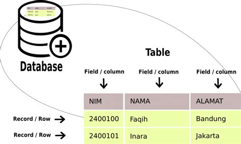 Belajar MySQL Dasar Tutorial MySQL Untuk Pemula