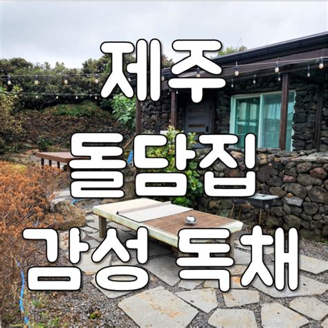 제주도 일주일살기 숙소 바닷가 앞 독채 제주 돌담집 네이버 블로그