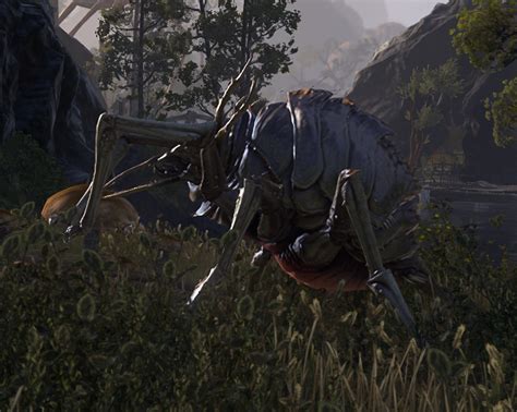 Current Block Bug — Elder Scrolls Online