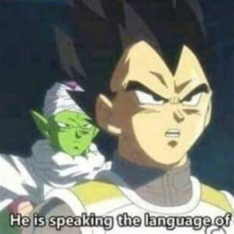 Big Language Detection Dataset Kaggle