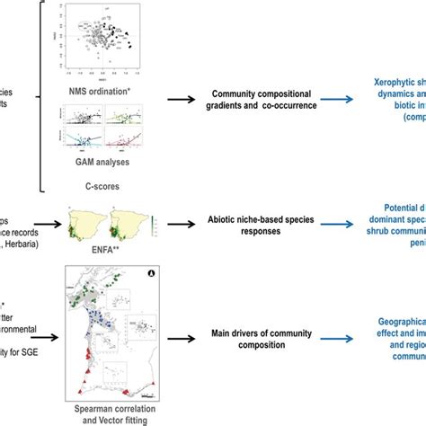 Schematic Representation Of The Sequence Of Analyses Text In Gray Download Scientific Diagram