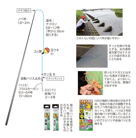 テナガエビ（手長エビ）のウキ釣りの仕掛けと釣り方を紹介 釣りぽ Tsuripo