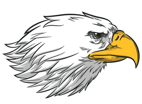 Eagle Face Drawing
