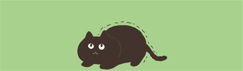 Pythontkinter Matplotlib で作成したグラフをウィンドウ上で表示できるようにしよう！｜すらぷろ