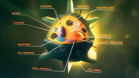 3d Medical Visualization Pharmaceutical 💉 🔬