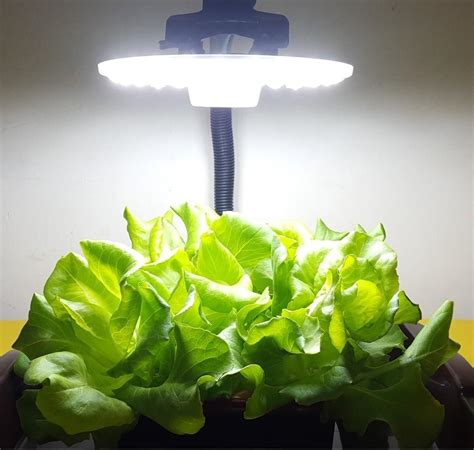 Hydroponic Starter Kit Gardening Pots And Planters On Carousell