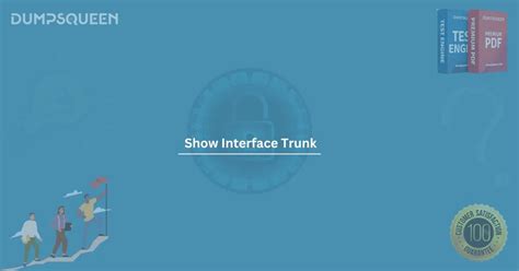 How To Use The Show Interface Trunk Command In Networking