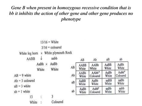 Gene Interaction Ppt Pptx Incomplete Dominance Pptx Genetics Science