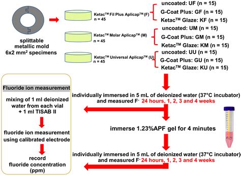Effects Of Protective Surface Coating On Fluoride Release And Recharge