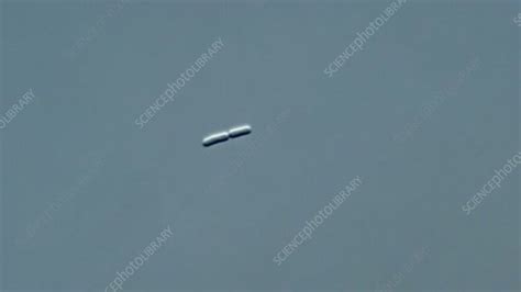 Lactobacillus Bacteria Dividing Light Microscopy Stock Video Clip K0074734 Science Photo