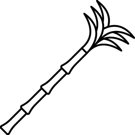 Sugar Cane Clipart Drawing Sketch Sugarcane Template Cliparts White