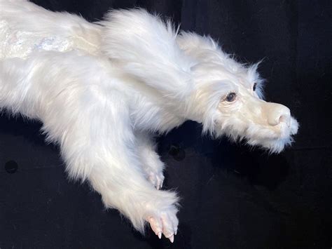 Falcor Falkor Soft Doll Large Falkor Falkor From The Etsy