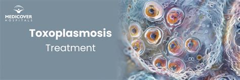 Treatment Options For Toxoplasmosis Medicines And Recovery Tips