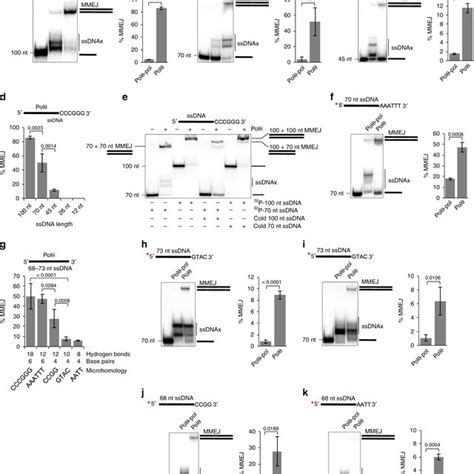 Substrate Requirements For Polθ Mmej Of Ssdna Ac F Hk Download Scientific Diagram