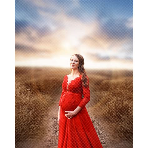 Dry Grass Field Digital Backdrop Pathway