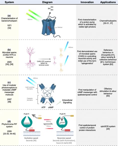 Progression Of Optogenetic Systems In Cell Biology A Characterisation