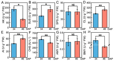 Combined Metabolome And Transcriptome Analysis Elucidates Sugar
