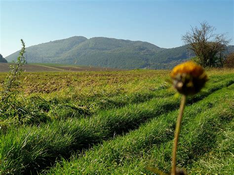 October 6 By Tinacodes On Deviantart