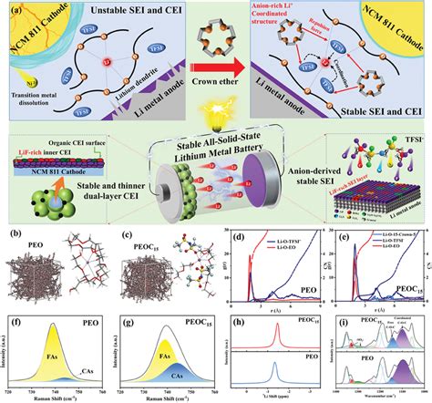 Schematic Diagrams And Characterization Of Li⁺ Coordinated Structure