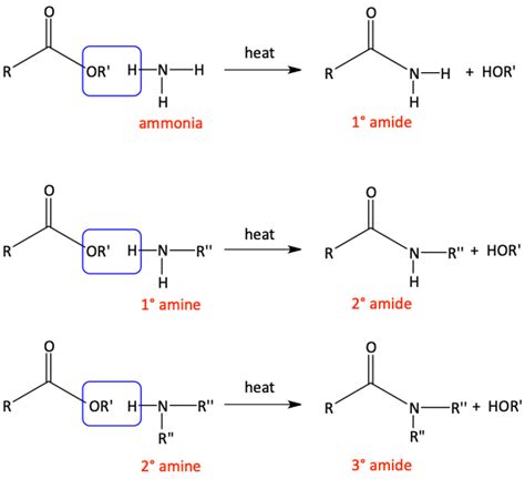 2206 Amine And Nitrile Reactions Organicchemguide