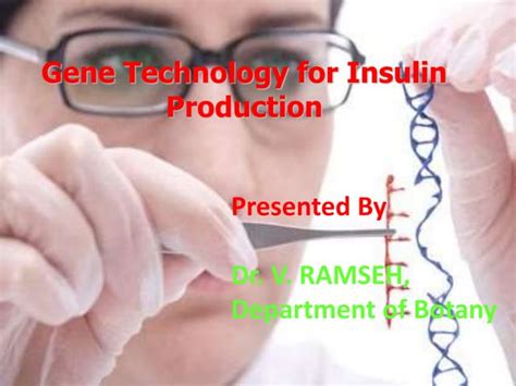 Insulin Production By Genetic Engineering Pptx