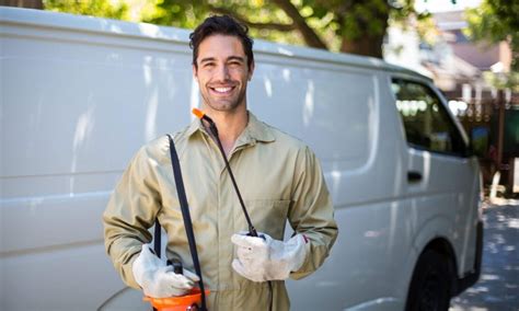 The Best Local Pest Controllers In New York Ny